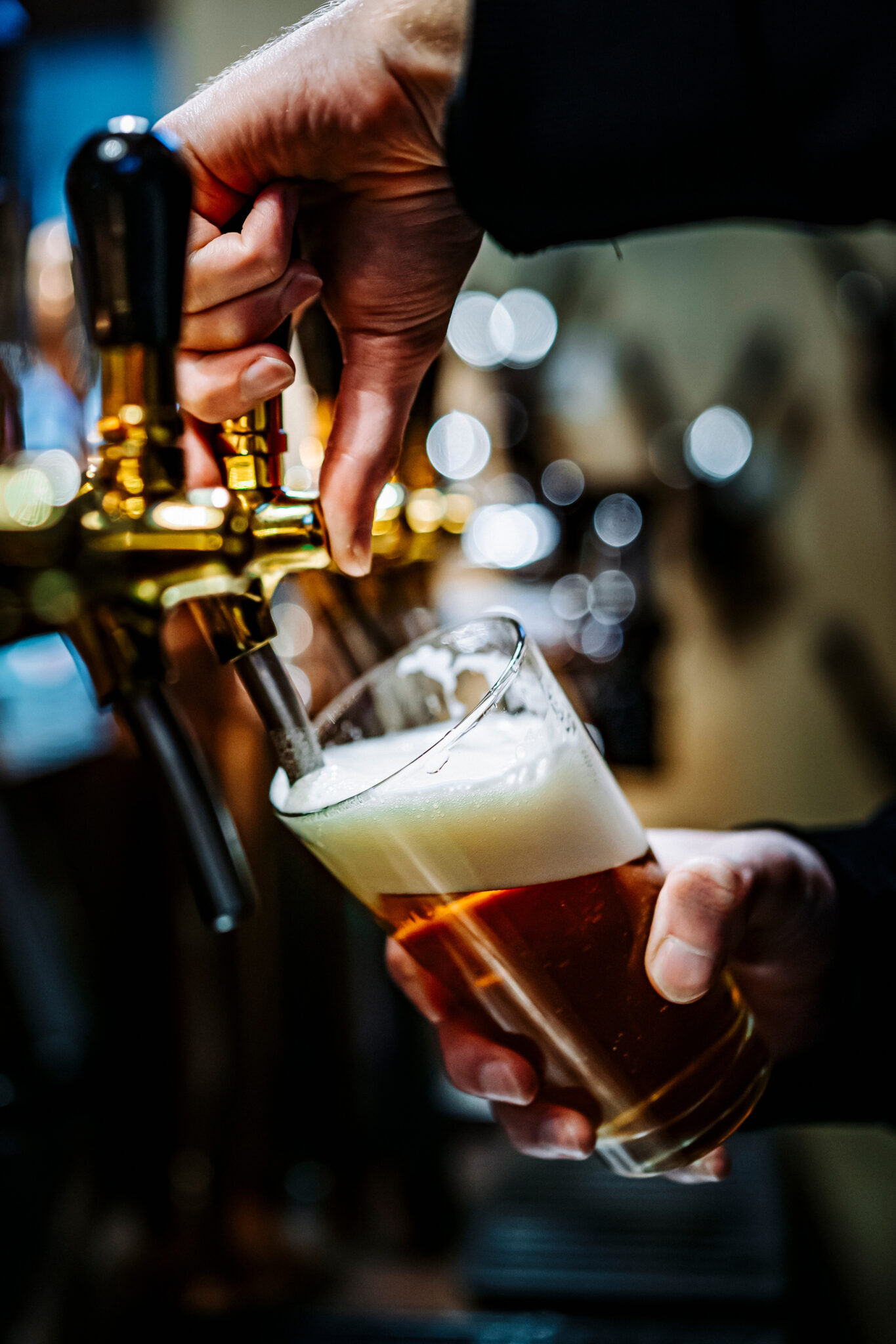 Fotógaléria – Ribster